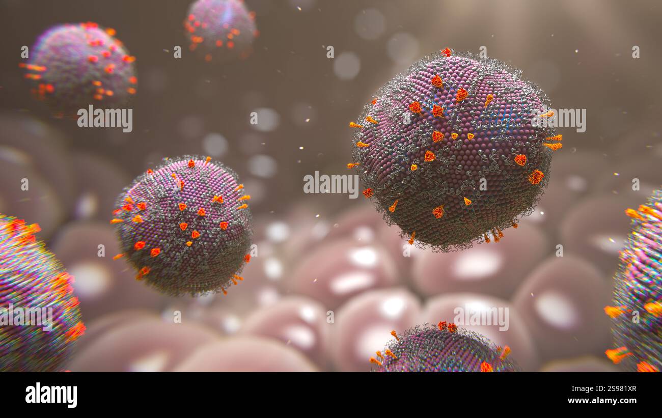 Illustration of human metapneumovirus (hMPV) particles. This is a ...
