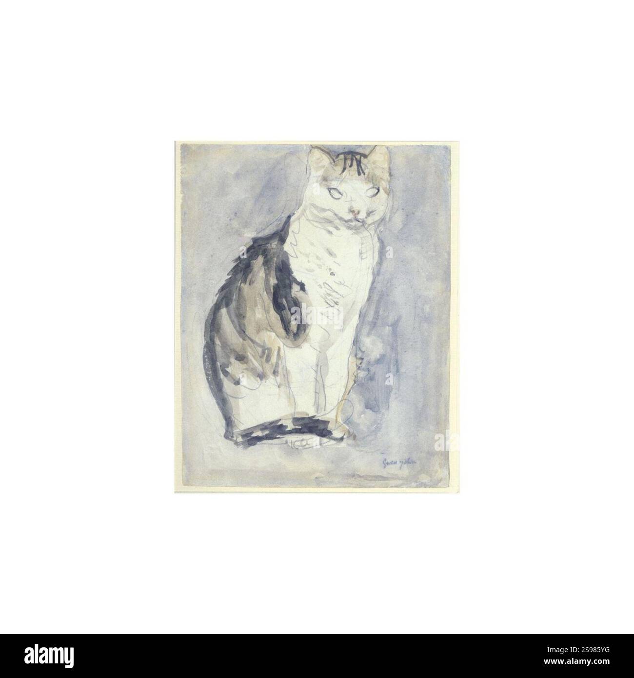 Gwen john cat hi-res stock photography and images - Alamy