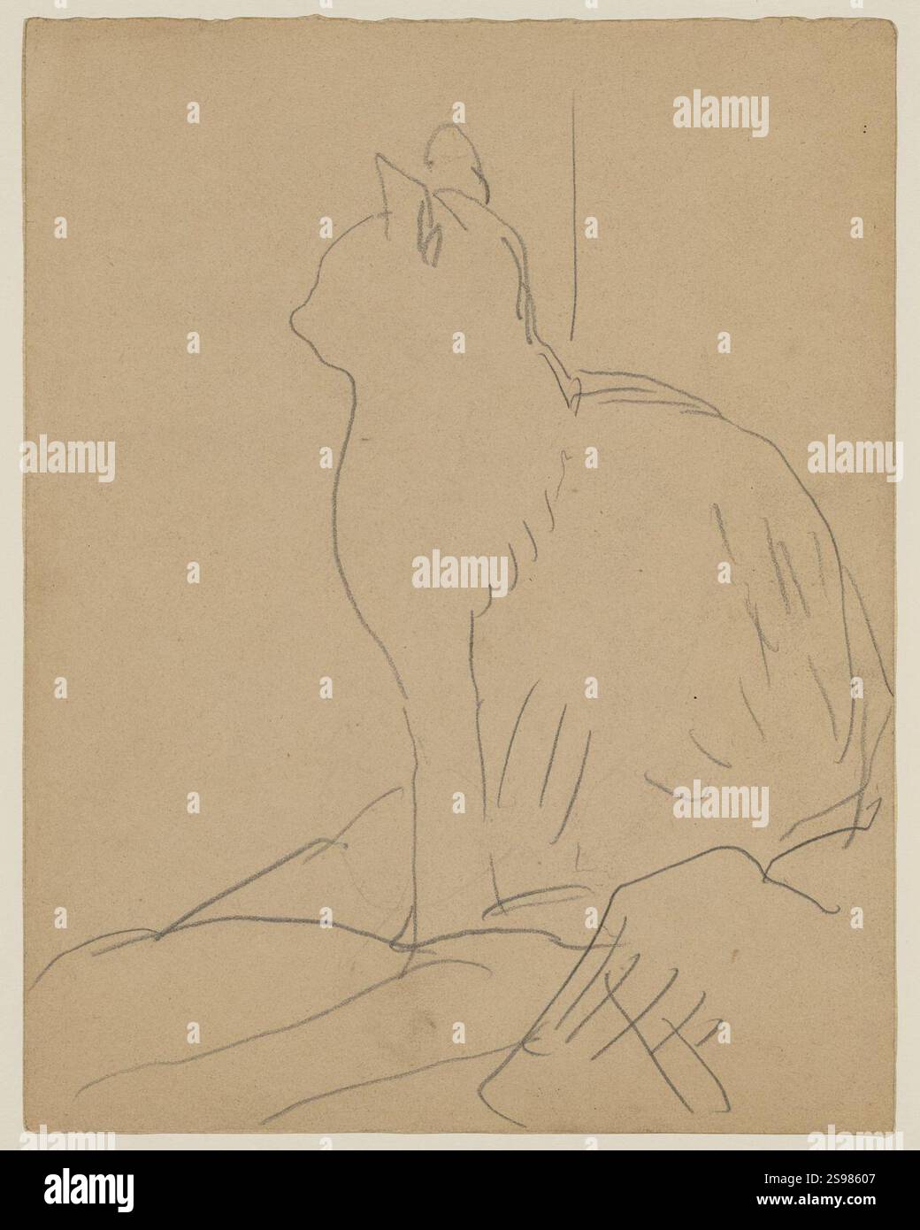 Gwen John - Cat, facing left, NMW A 3832 Stock Photo - Alamy