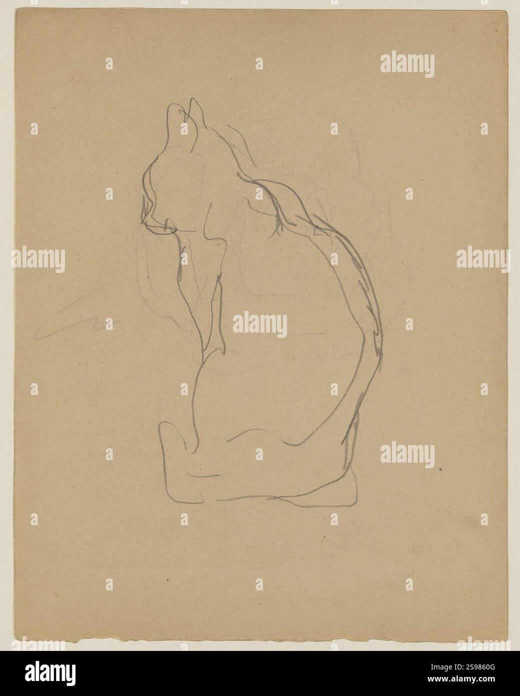 Gwen John - Cat, facing left, NMW A 3831 Stock Photo - Alamy