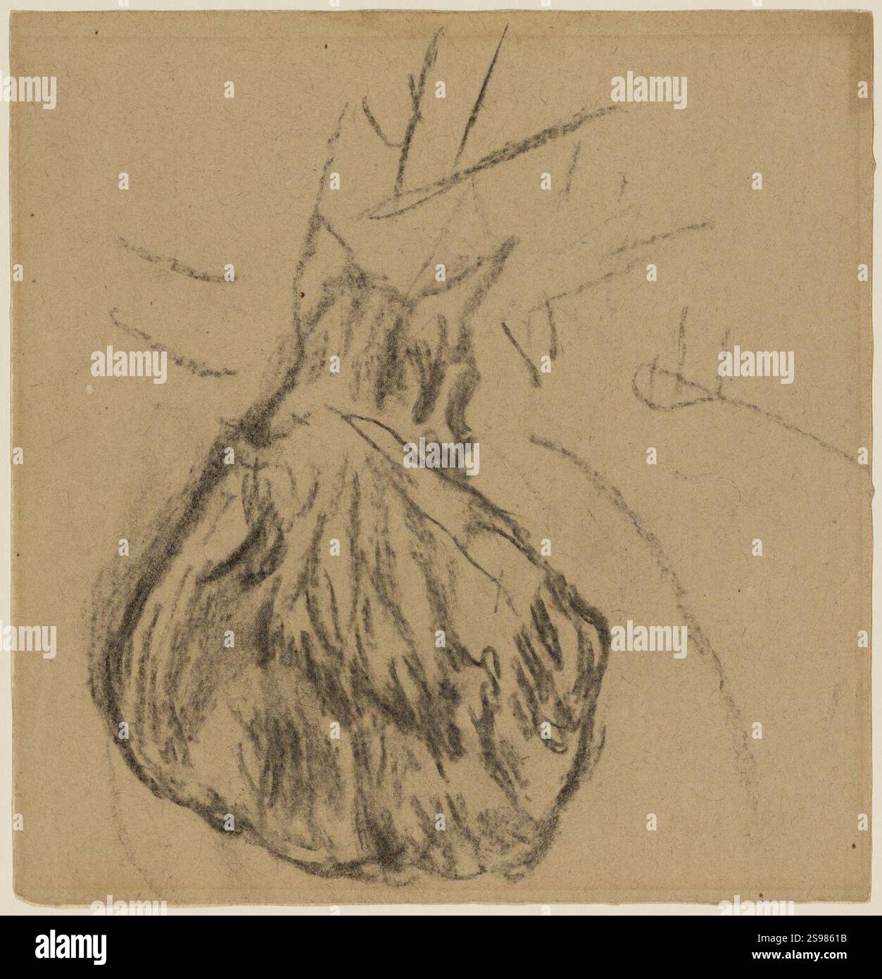 Gwen John - Cat, NMW A 15632 Stock Photo - Alamy