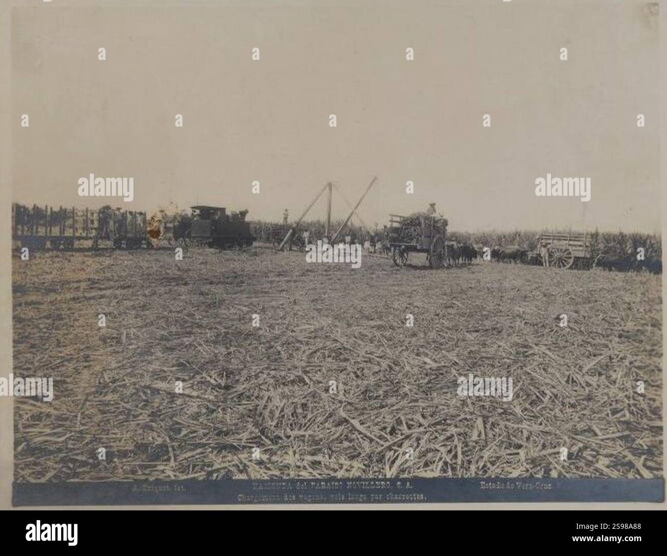 Hacienda del Paraíso Novillero. Veracruz - Chargement des vagens, vaie ...