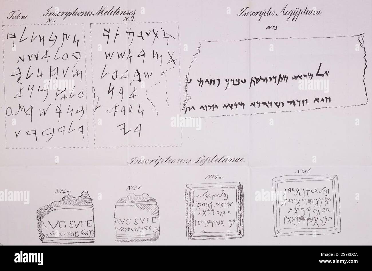 Hamakar's Phoenician inscriptions (Mdina steles, Turin Aramaic Papyrus ...