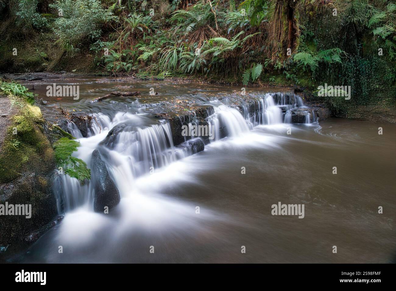 Waterfall tanquility in the bush Stock Photo - Alamy