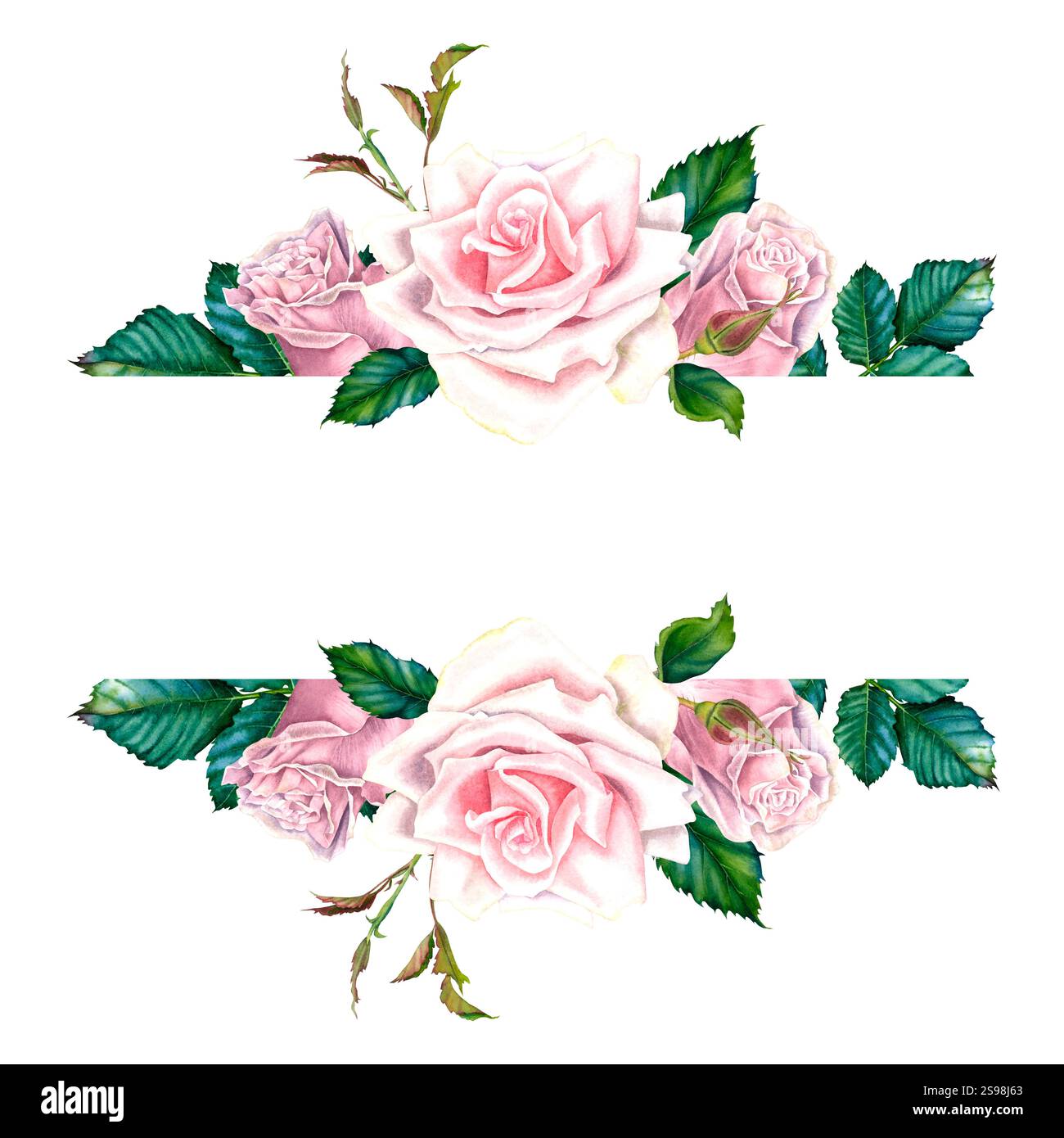 Botanical frame with rose flowers, green leaves and buds. Hand painted ...