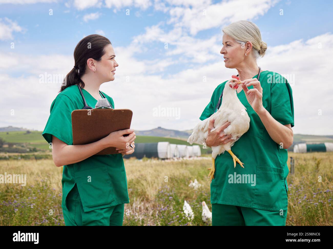 Clipboard, talking and veterinary women on chicken farm together for ...