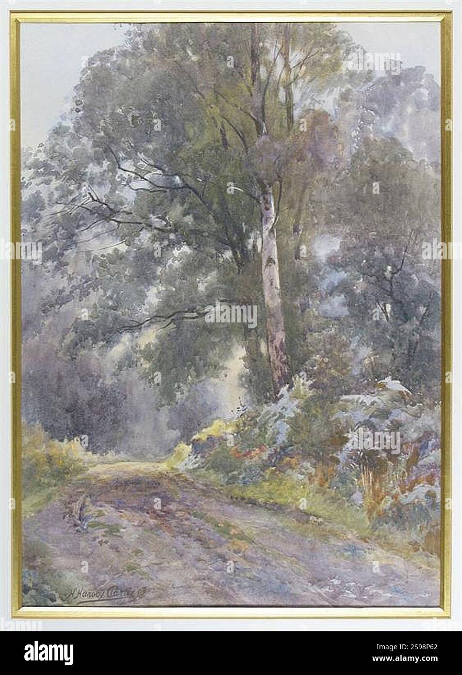 Harry Harvey Clarke - 7aqwtmzme0 Stock Photo - Alamy