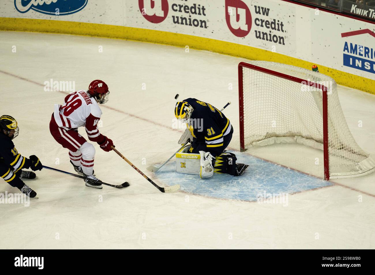 January 24, 2025, Madison, Wisconsin, USA: Michigan goalie CAMERON ...
