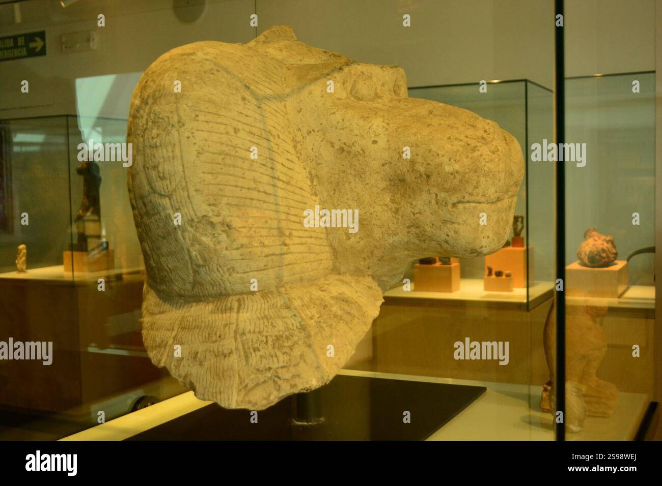 Head of a baboon, sacred animal of the god Thoth Stock Photo - Alamy