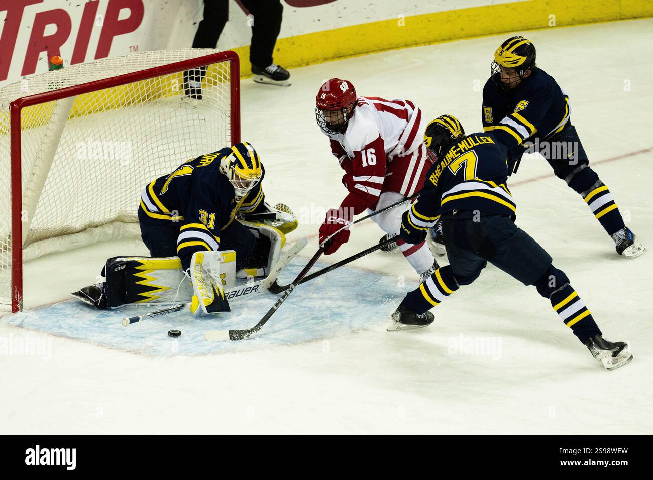 January 24, 2025, Madison, Wisconsin, USA: Michigan goalie CAMERON ...