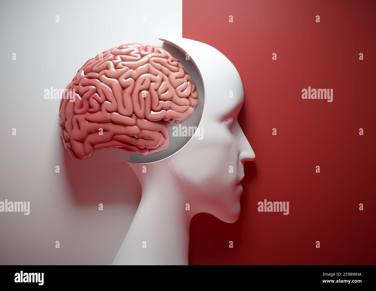 Human head profile and brain inside. Confusion and brainstorming ...