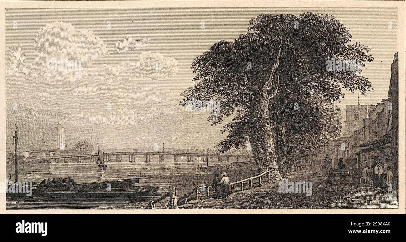 Heath Cheyne Walk Stock Photo - Alamy