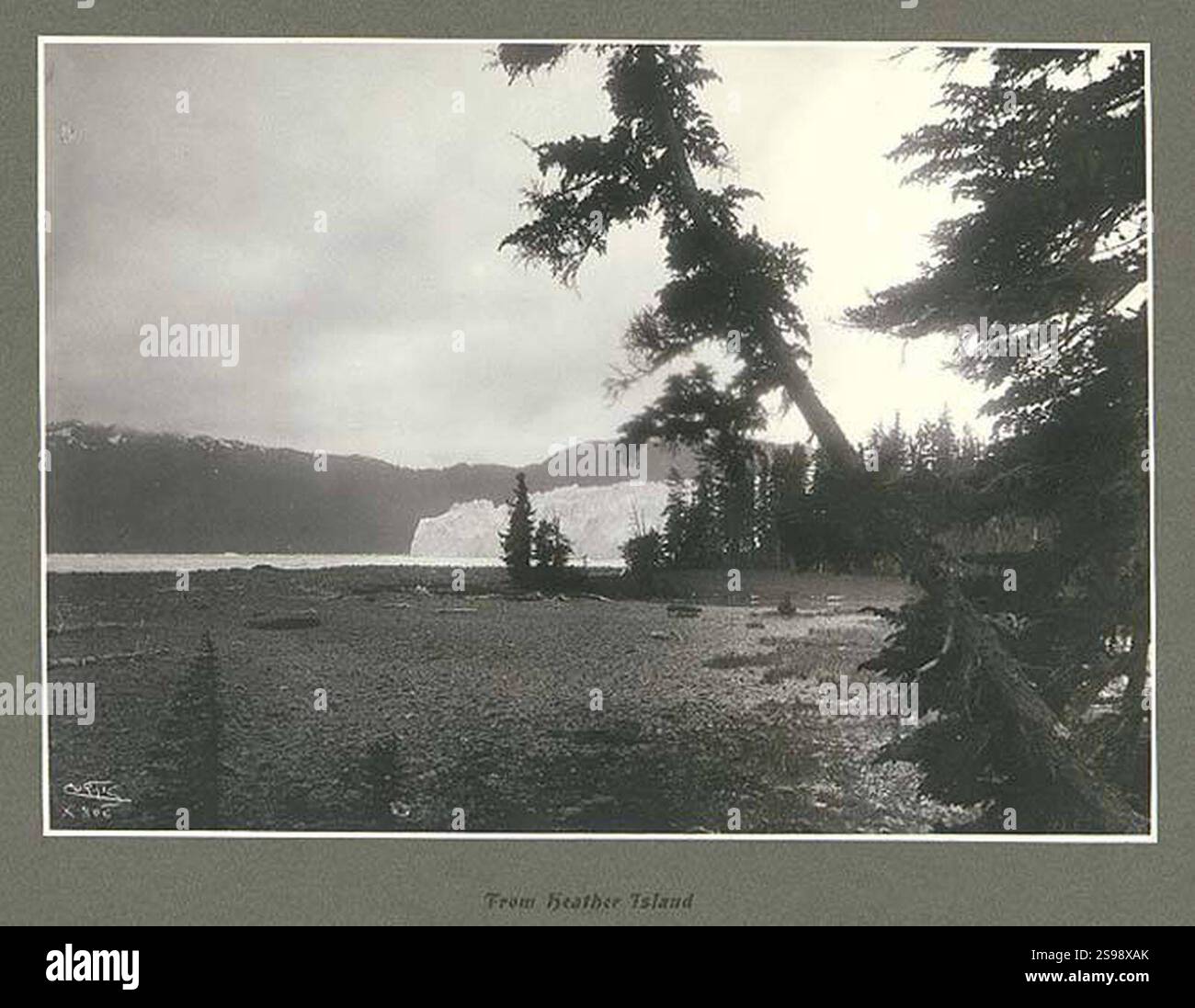 Heather Island, Columbia Bay, Alaska, June 1899 (HARRIMAN 111 Stock ...