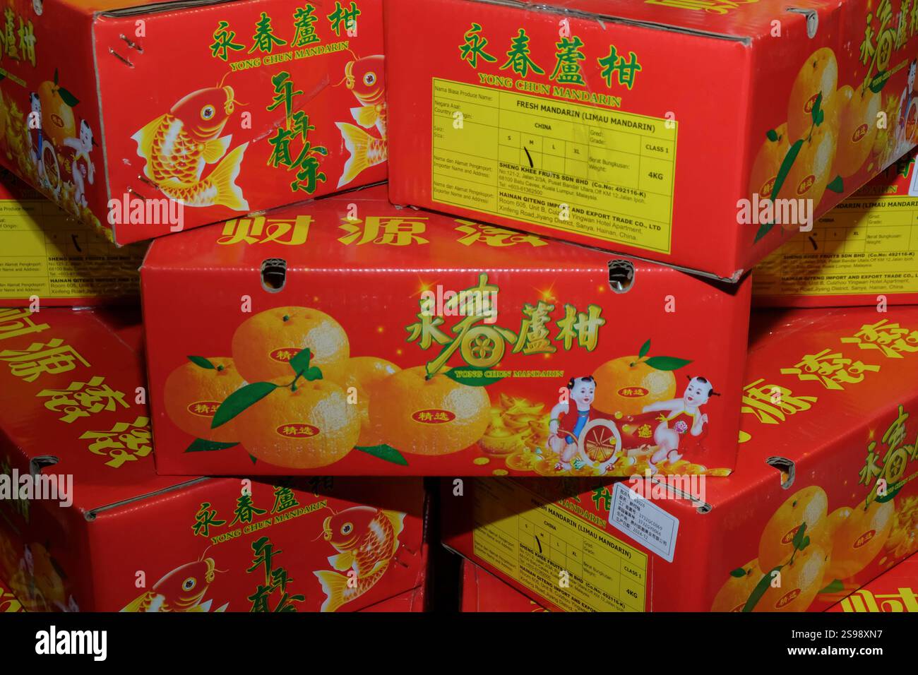 A multiple boxes of Mandarin orange seen for sales during Chinese lunar ...
