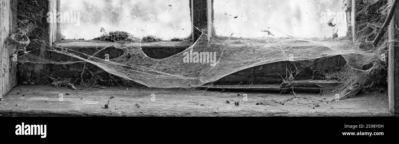 Empty cob Black and White Stock Photos & Images - Alamy