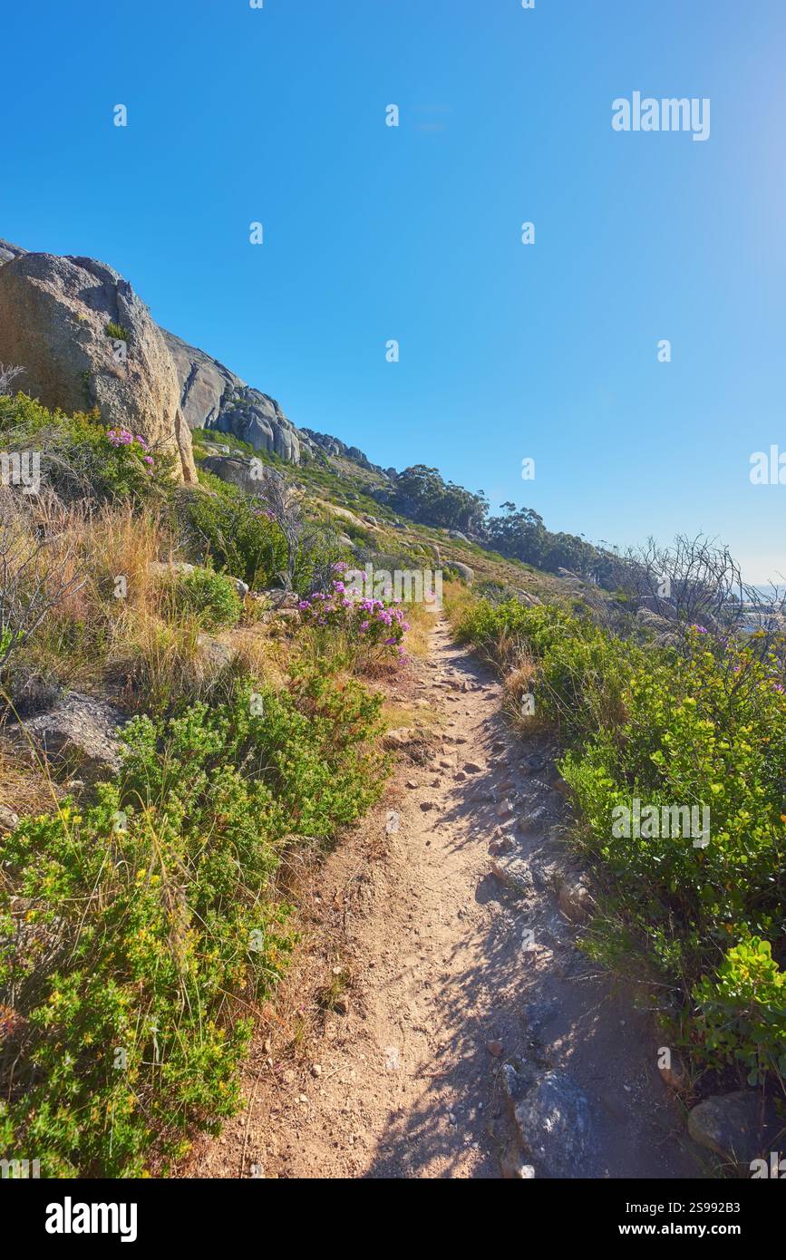 Mountain, trail landscape and plants in nature for trekking location ...