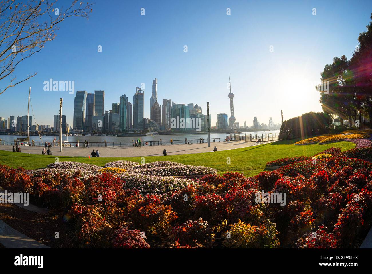 Shanghai, China. January 10, 2025. Panoramic view of the skyscrapers ...