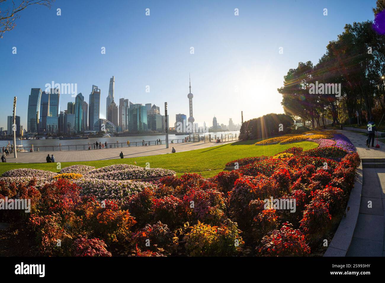 Shanghai, China. January 10, 2025. Panoramic view of the skyscrapers ...