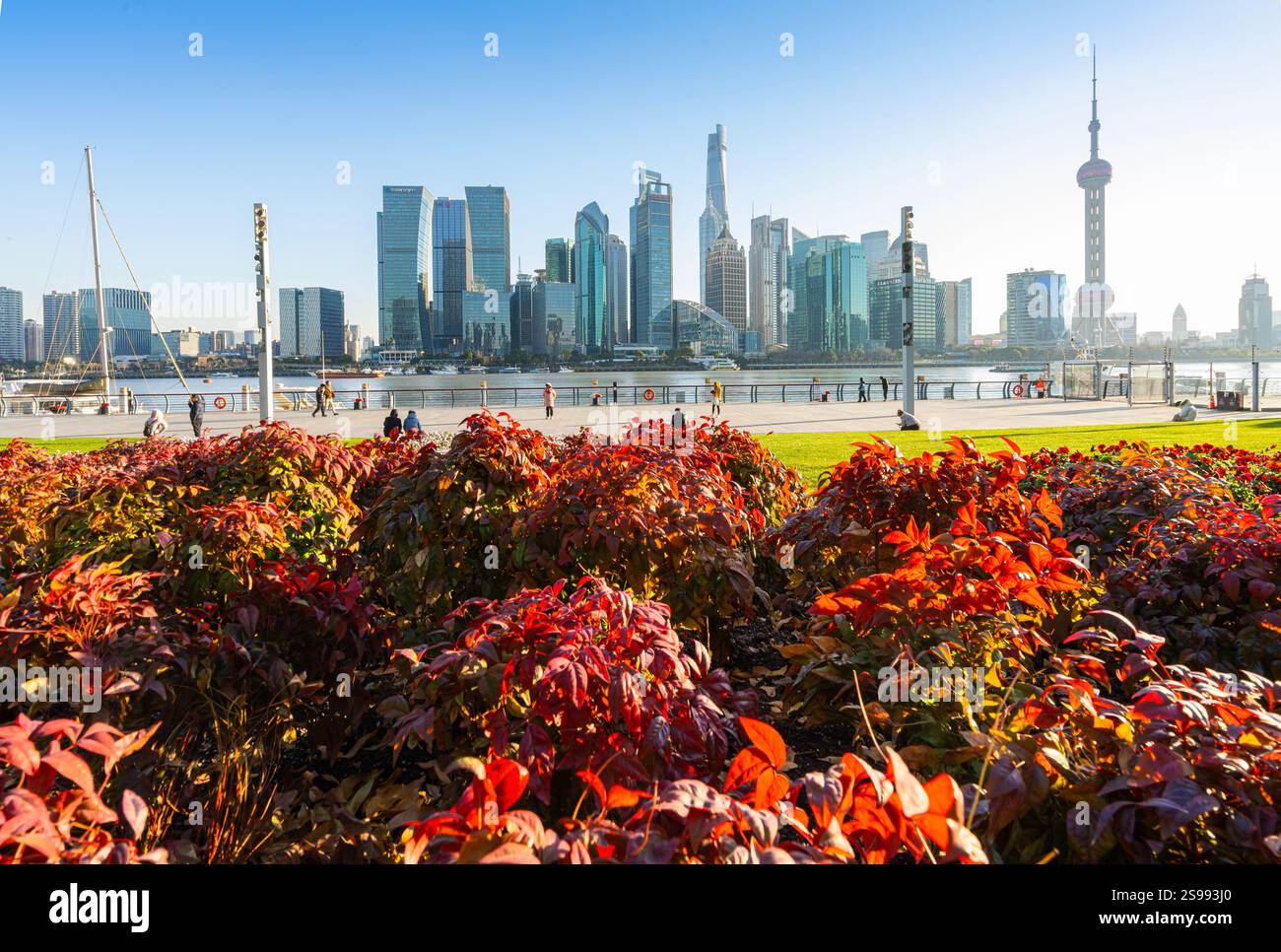 Shanghai, China. January 10, 2025. Panoramic view of the skyscrapers ...