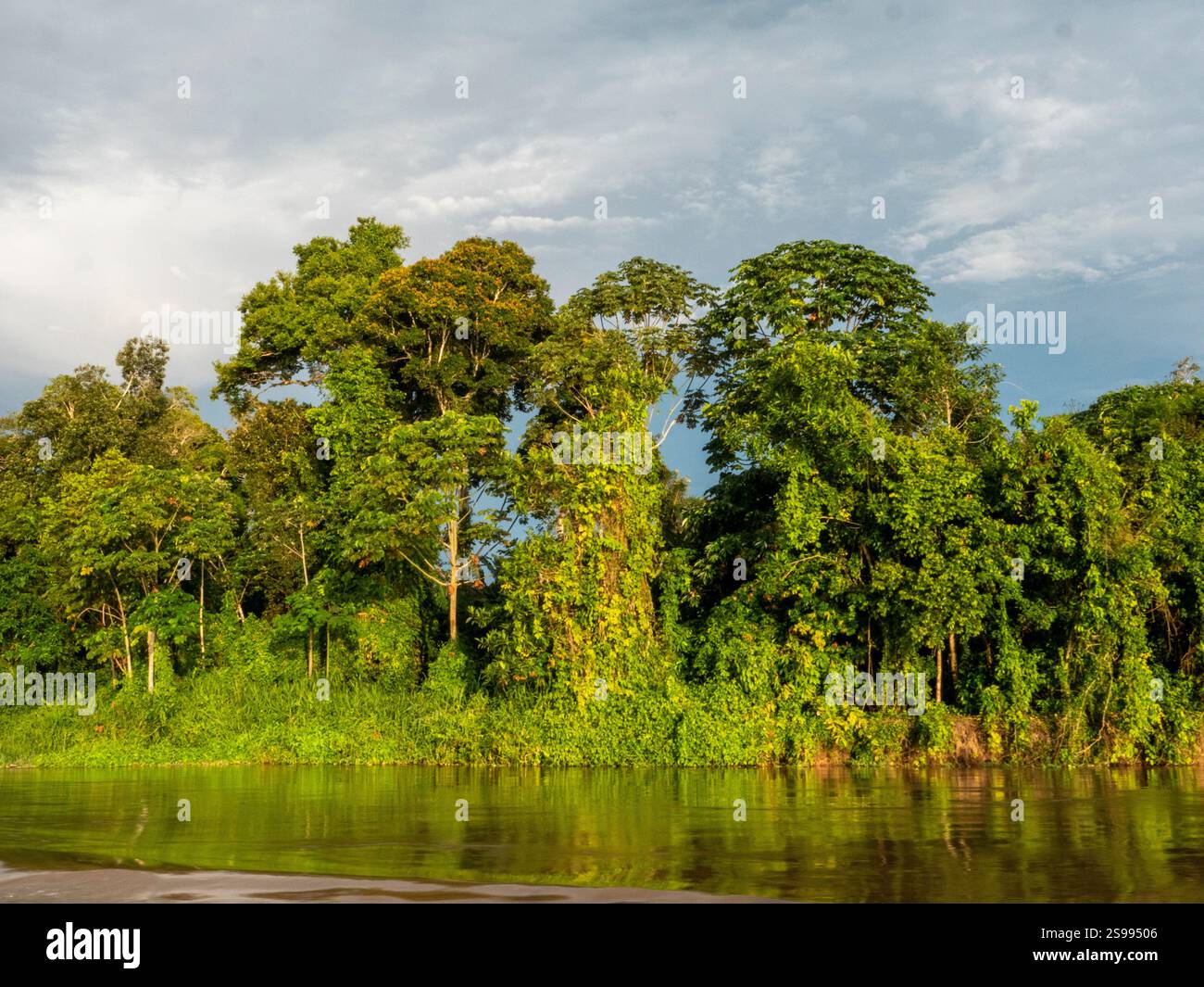 Amazon river landscape with rainforest. Taken near the small town of ...