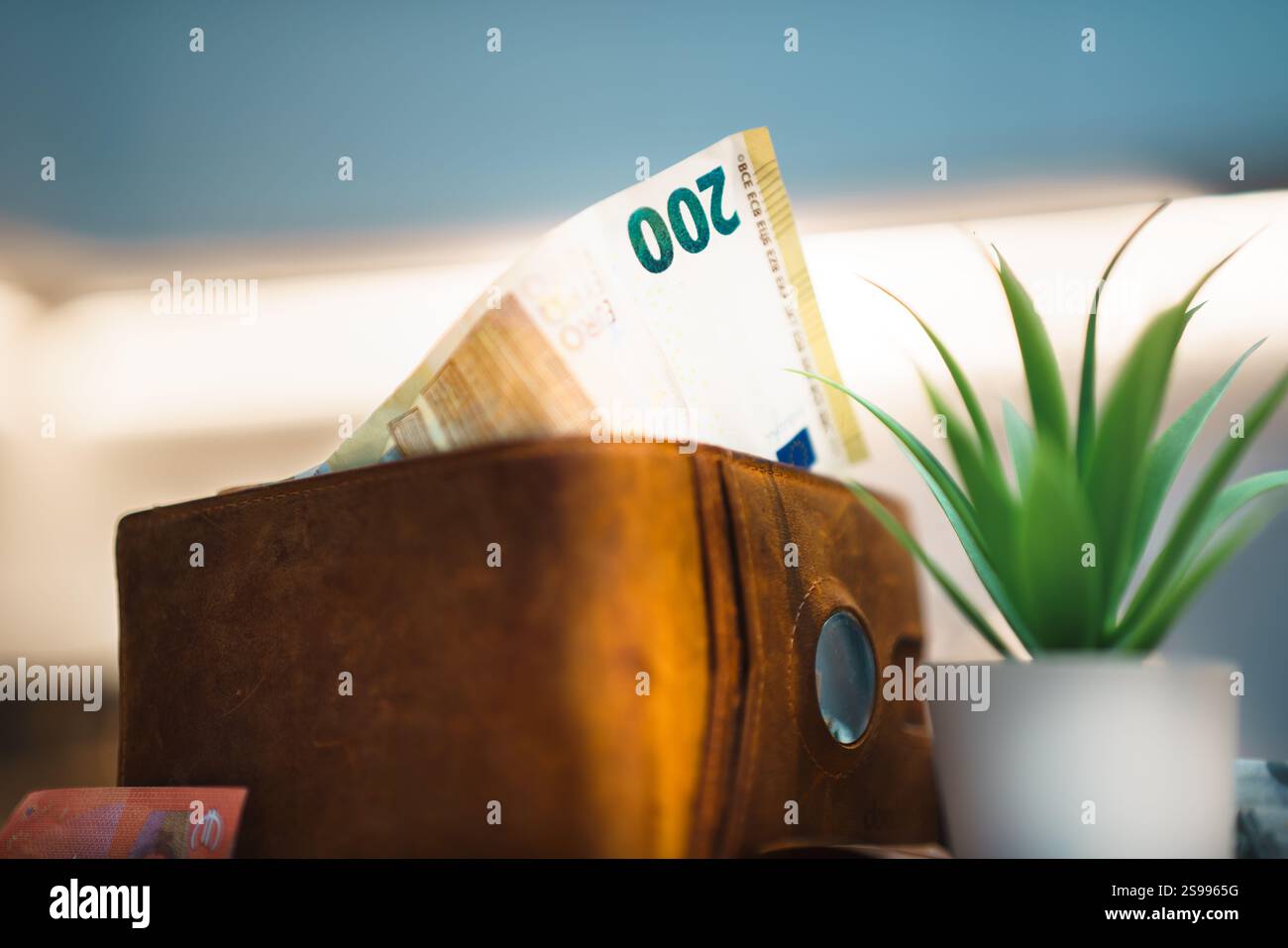 leather wallet with protruding banknote home interior green plant euro ...