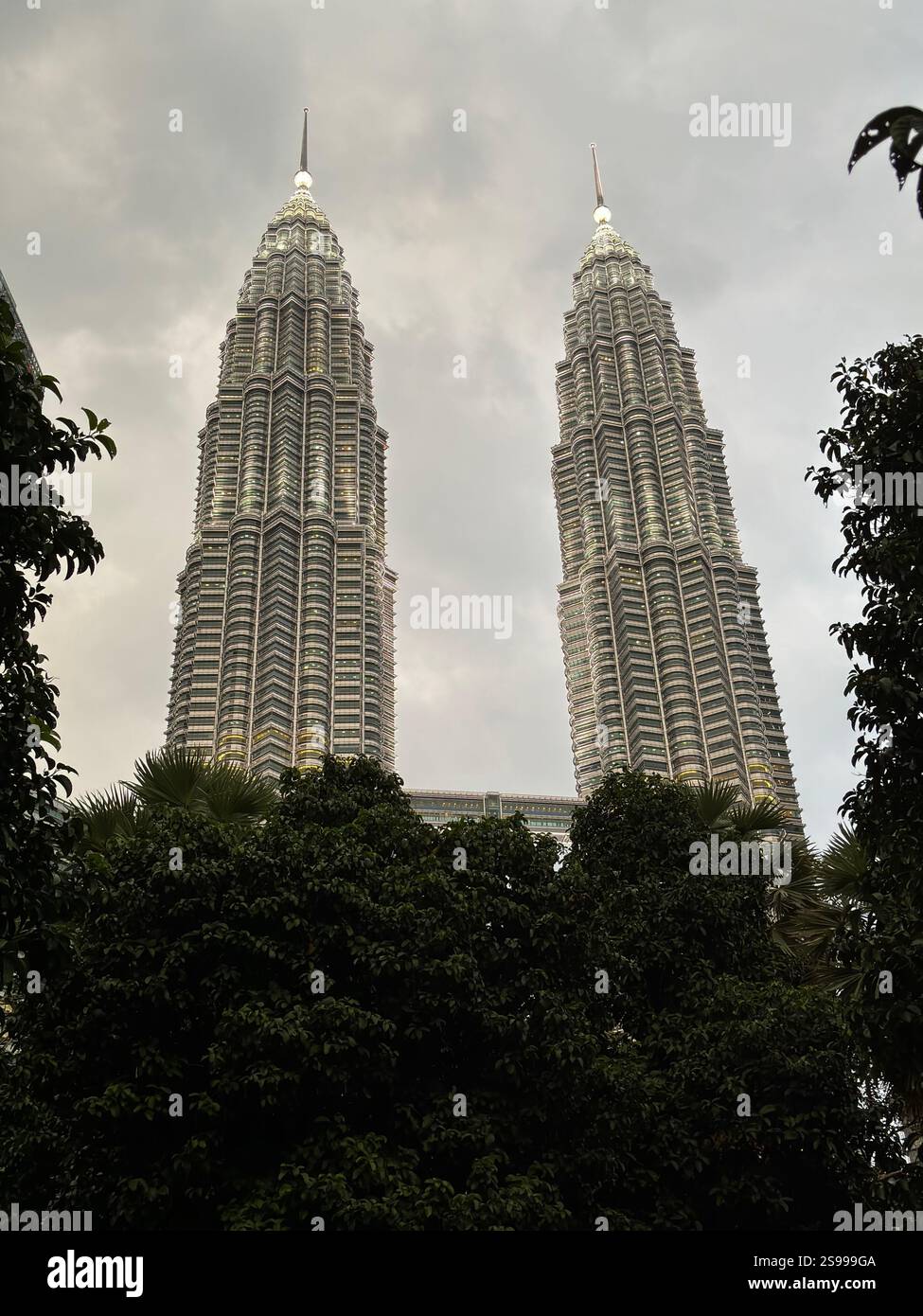 Petronas Twin Towers surrounded by greenery Stock Photo - Alamy