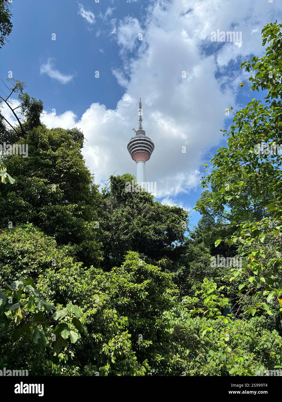 The KL Tower, rising proudly above a lush green landscape Stock Photo ...
