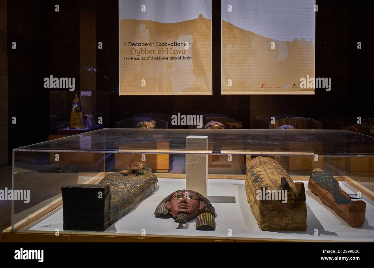 The Nubian Museum ( International Museum of Nubia) is an archaeological ...