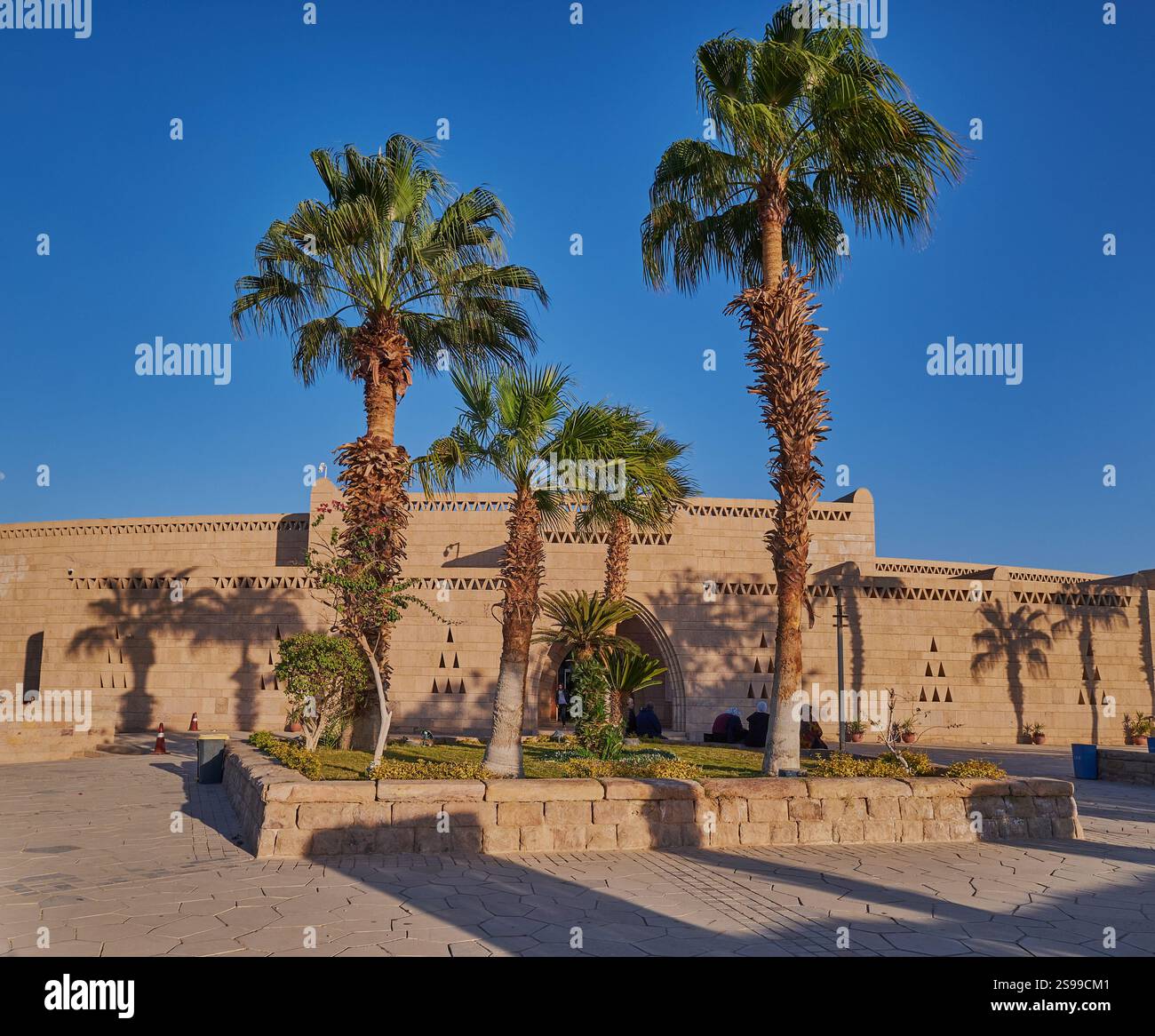 The Nubian Museum ( International Museum of Nubia) is an archaeological ...