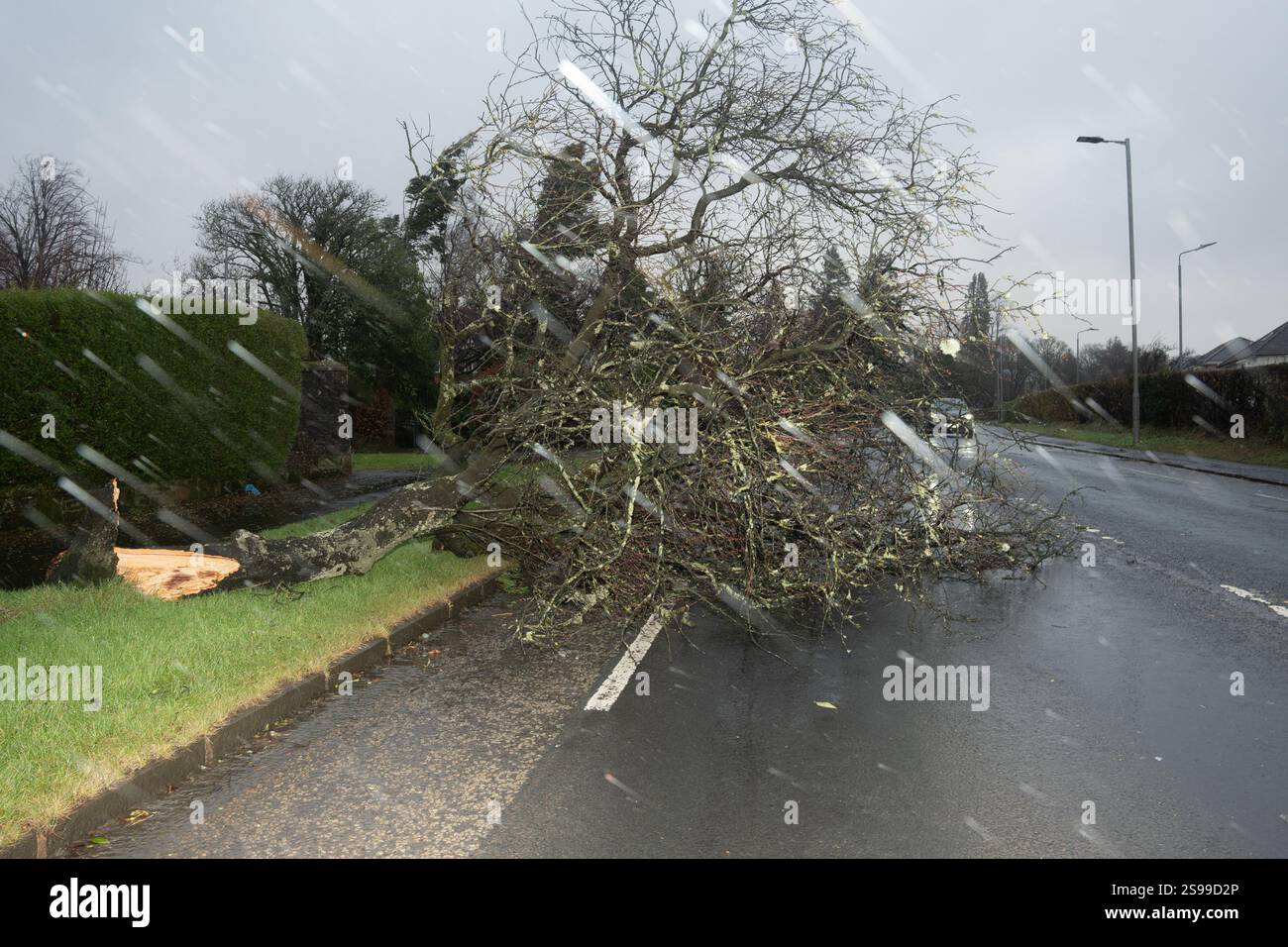 Helensburgh, Scotland, 24th Jan 2025. Storm Eowyn's winds causing ...