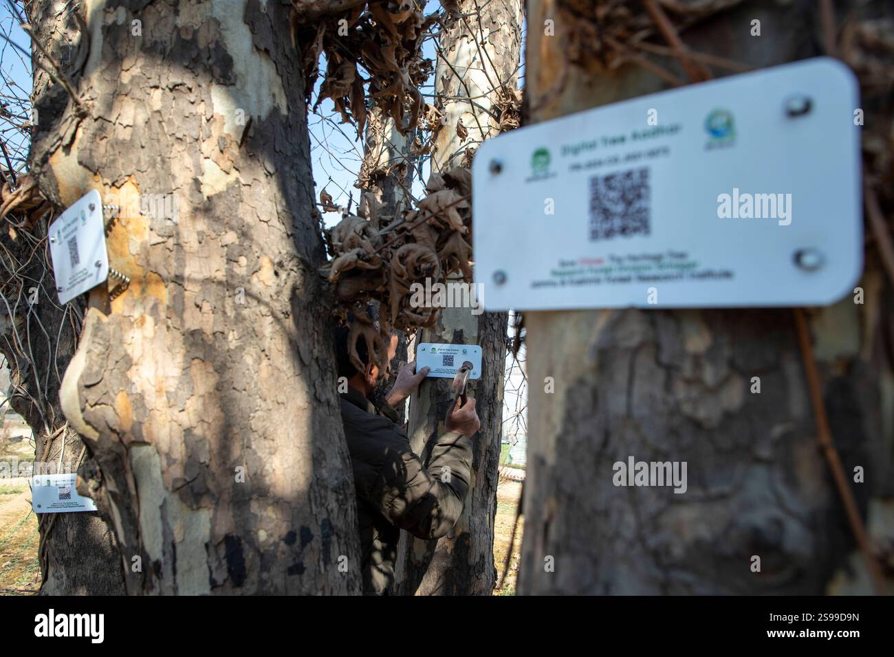A QR code based Geographic Information Systems (GIS) plate is seen on a ...