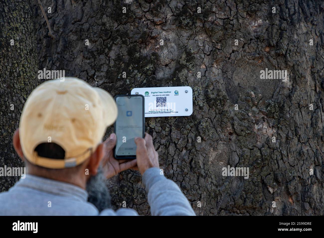 An official scans a QR code-based Geographic Information Systems (GIS ...