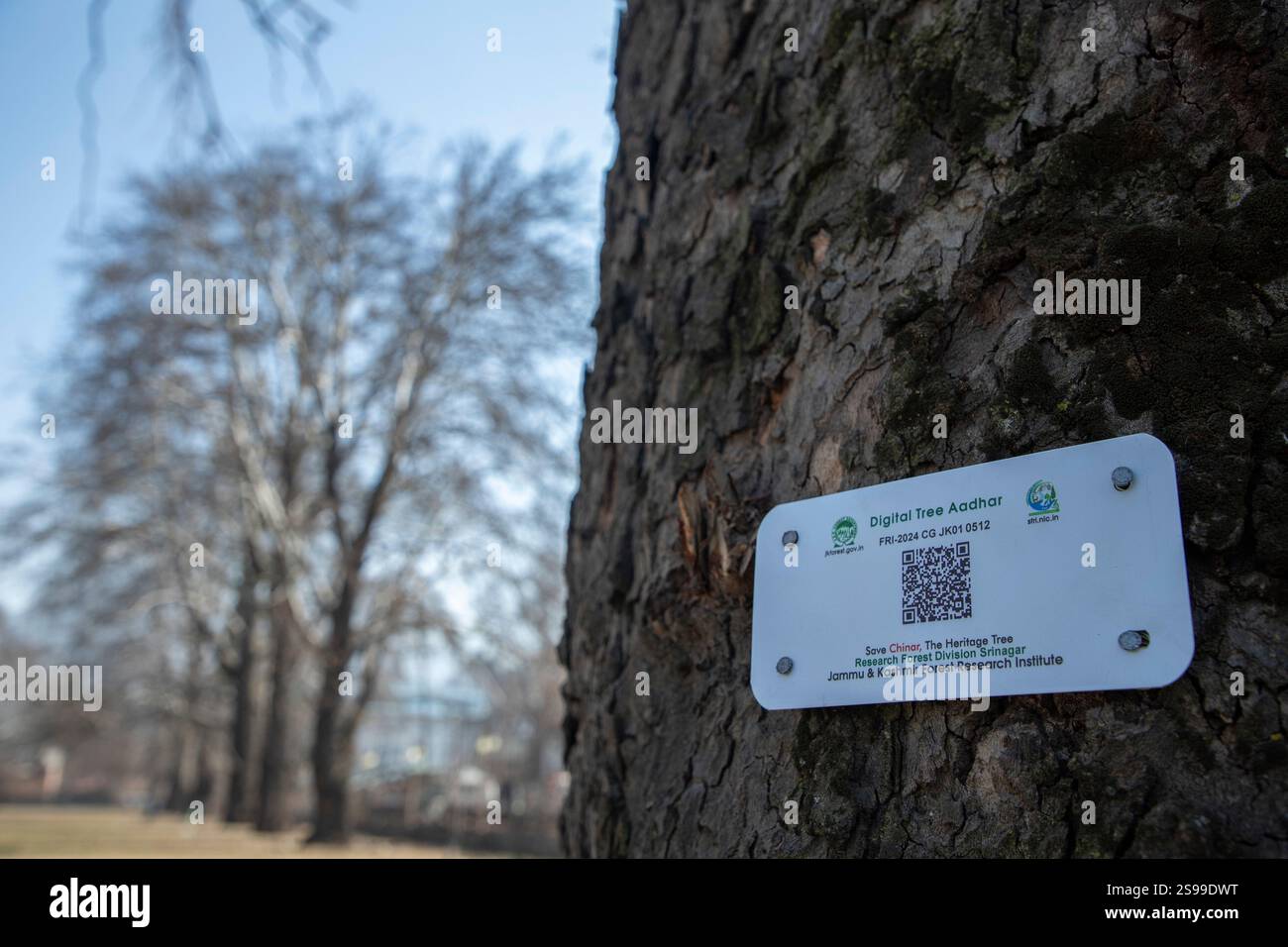 The QR code-based Geographic Information Systems (GIS) plate seen on a ...