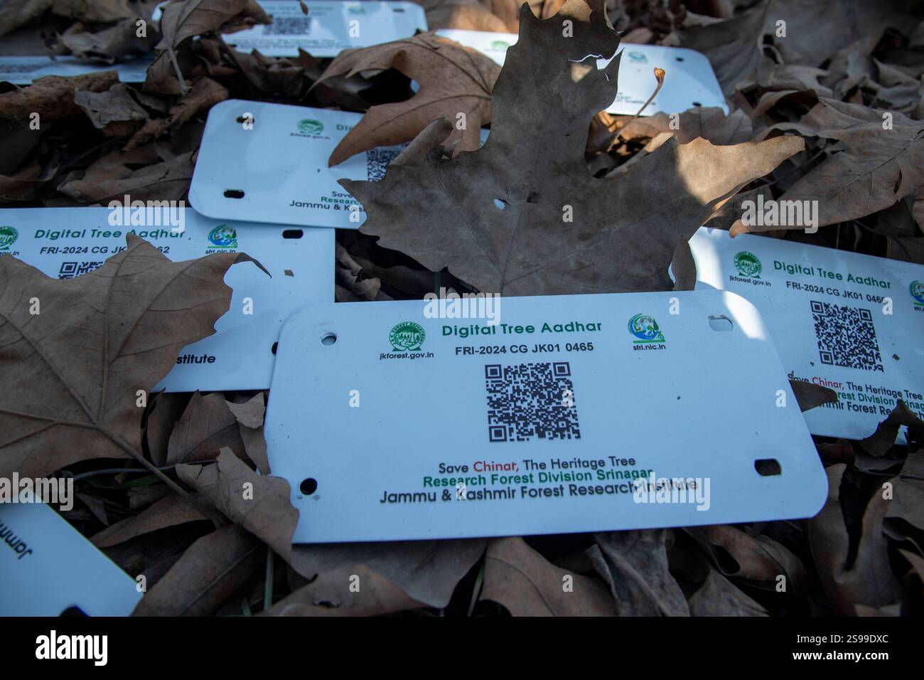 The QR code-based Geographic Information Systems (GIS) plates are seen ...