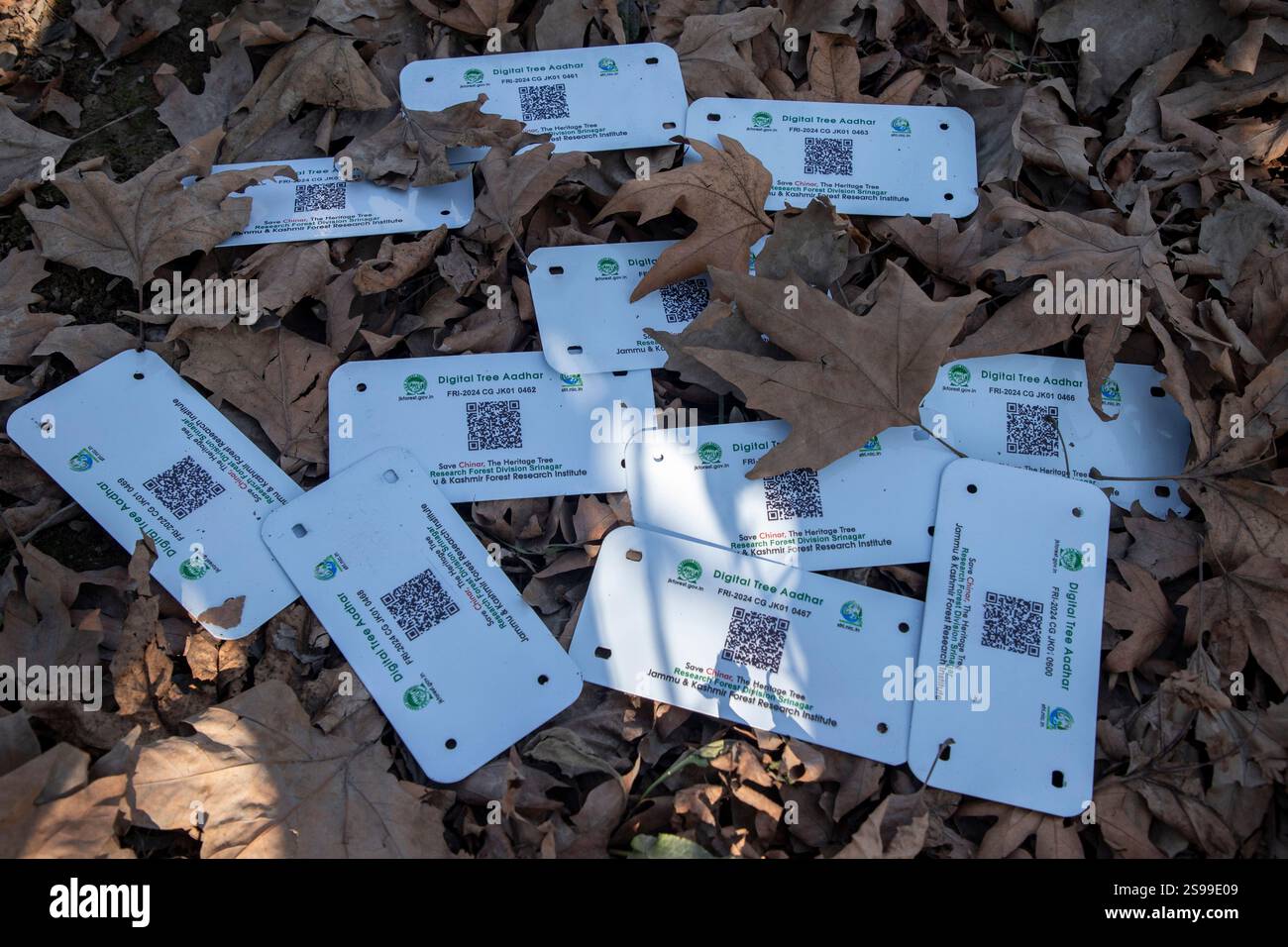 The QR code-based Geographic Information Systems (GIS) plates are seen ...