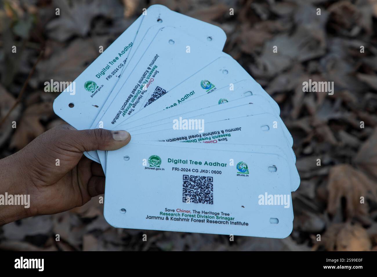 Geo database hi-res stock photography and images - Alamy