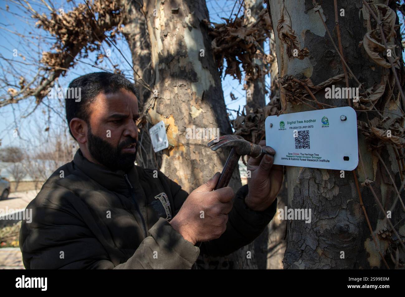 A Kashmiri worker installs a QR code-based Geographic Information ...