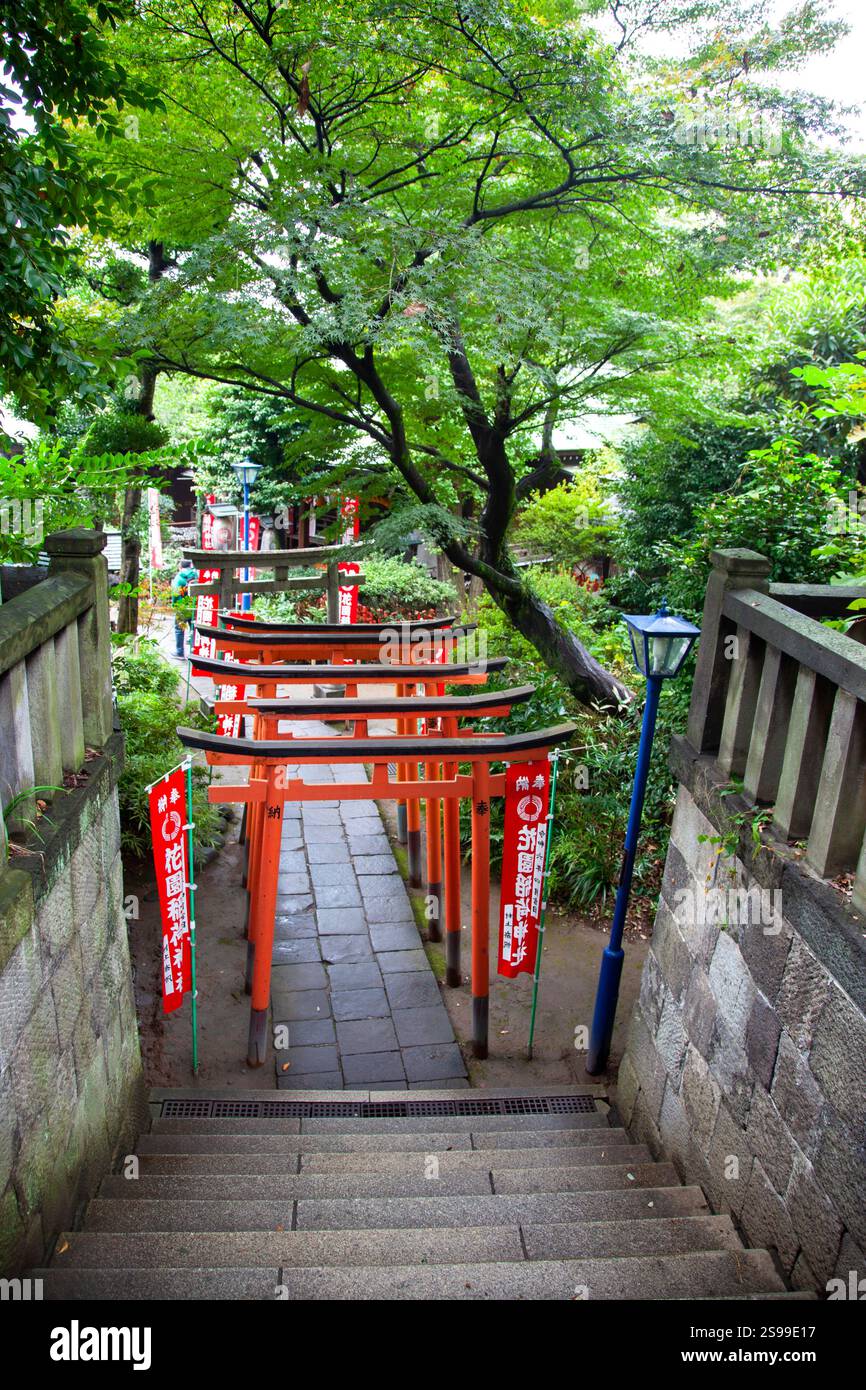 The Hanazono Inari Shrine in Ueno Park, Tokyo is a small Inari Shrine ...