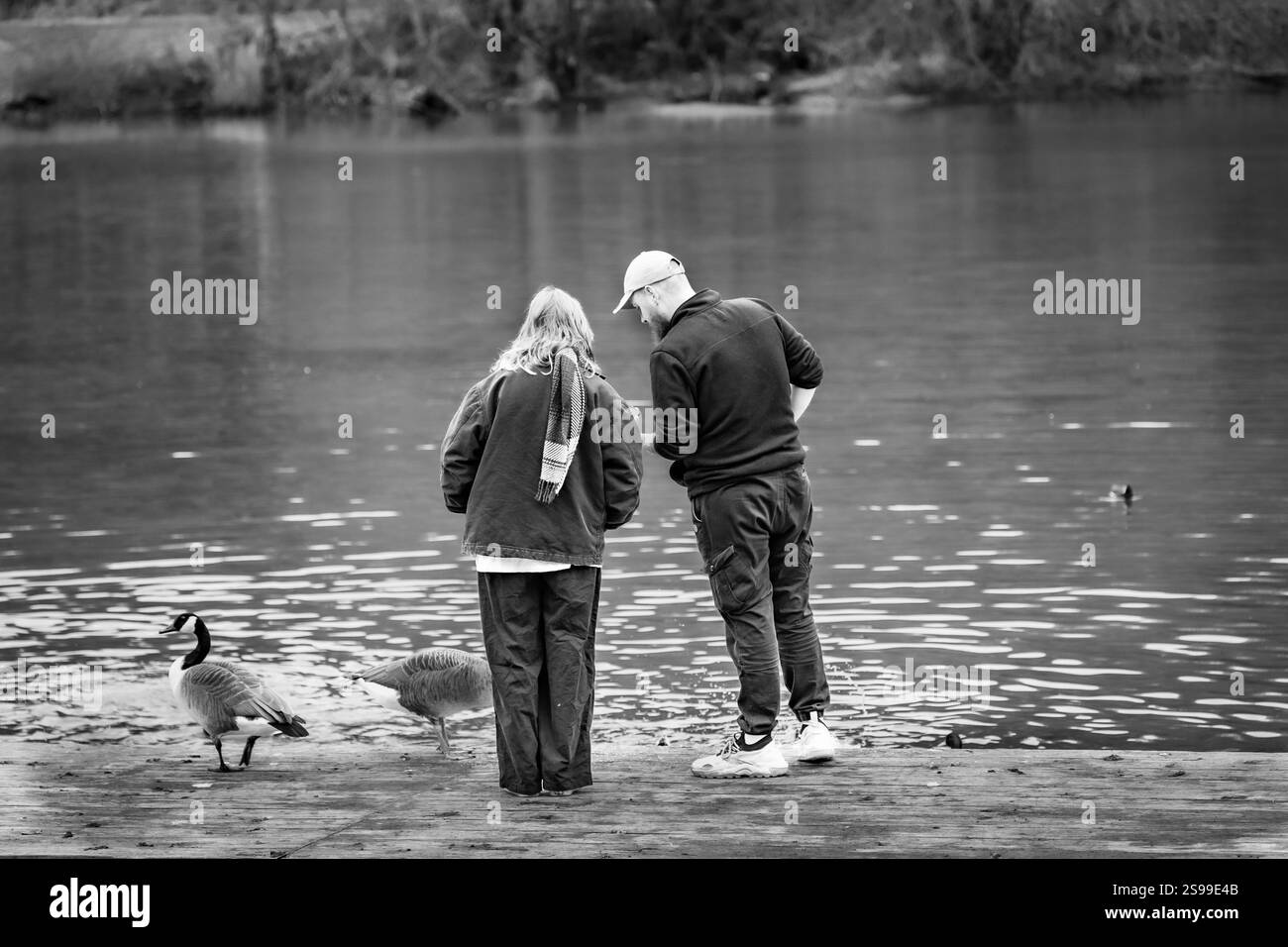 Mud feeding Black and White Stock Photos & Images - Alamy
