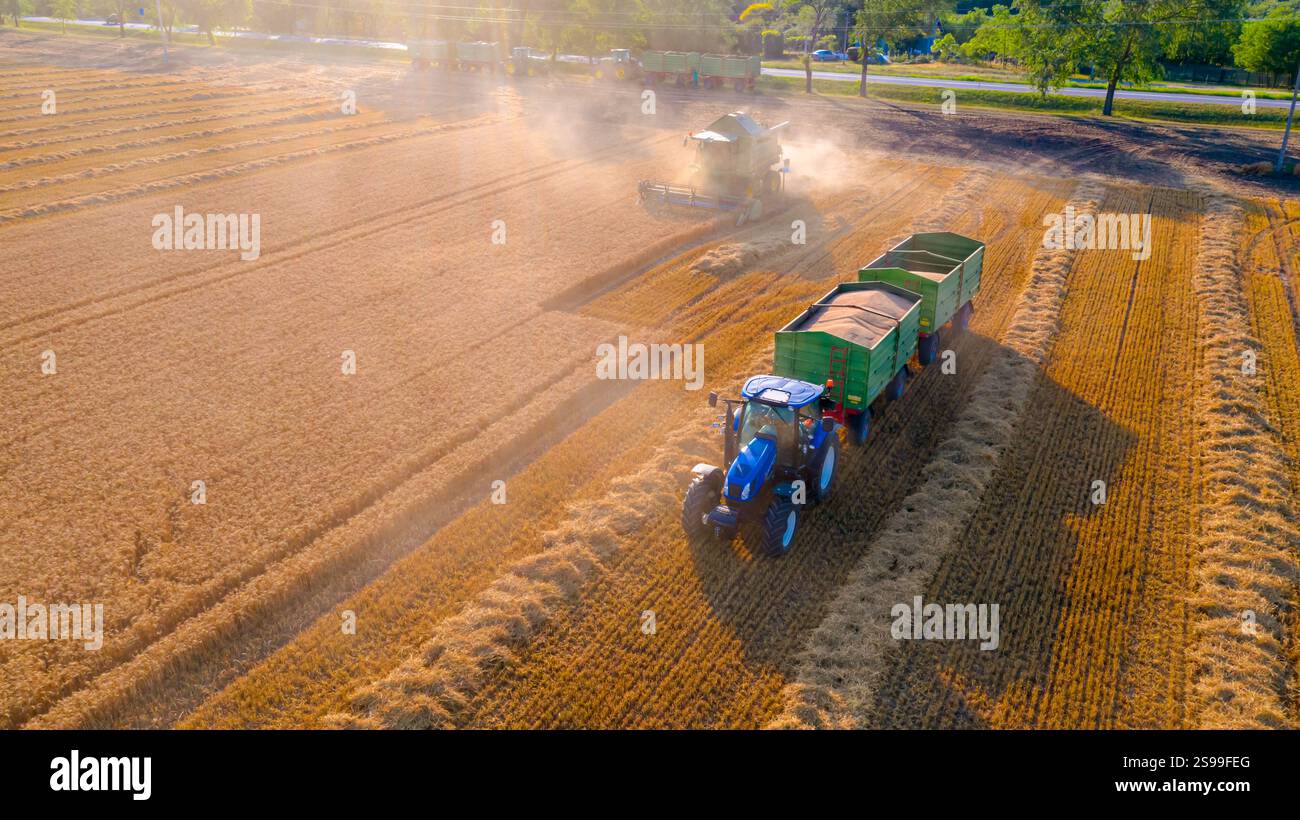 Above front view on agricultural harvester, combine is cutting and ...