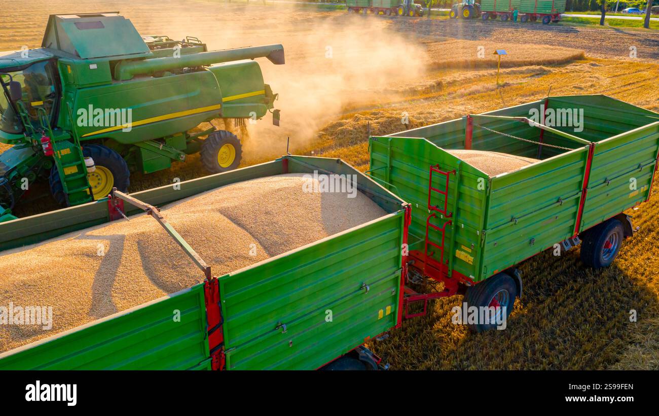 Above front view on agricultural harvester, combine is cutting and ...