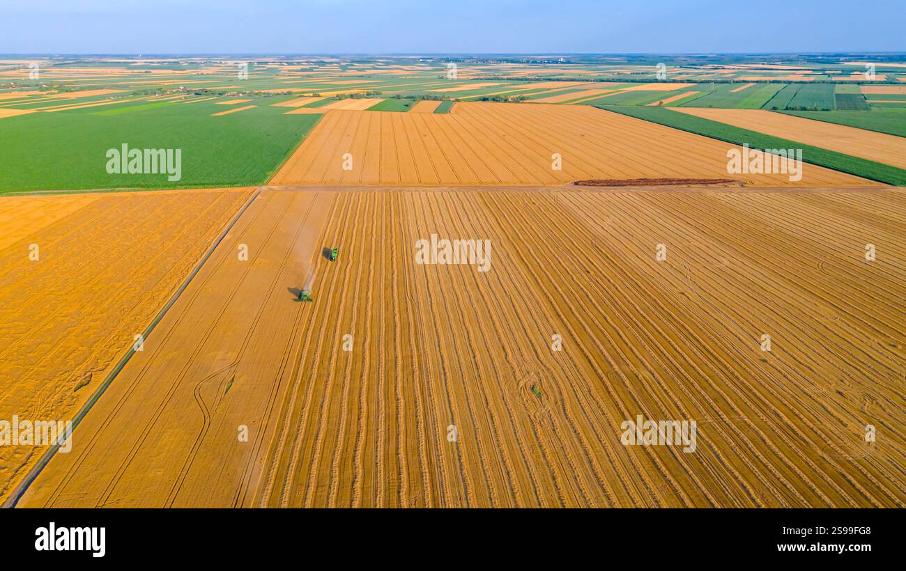 Above front view on agricultural harvester, combine is cutting and ...