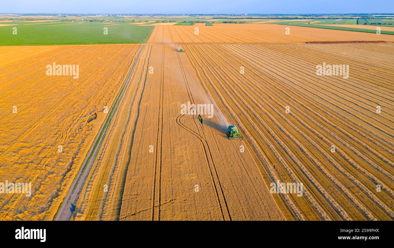 Above view over two agricultural harvesters, combines as they cutting ...