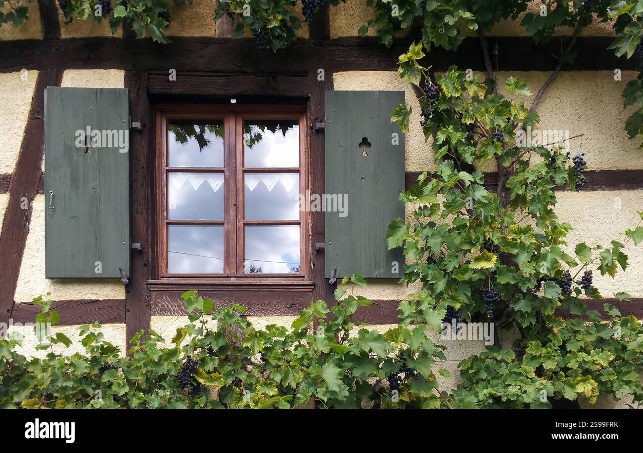Beautiful wooden countryside house surrounded hi-res stock photography ...