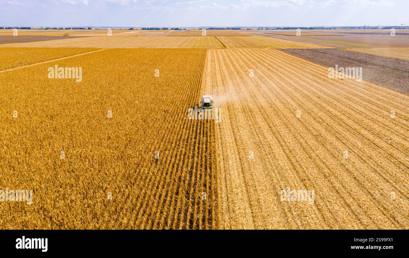 Above view of agricultural harvester as cutting and harvesting mature ...
