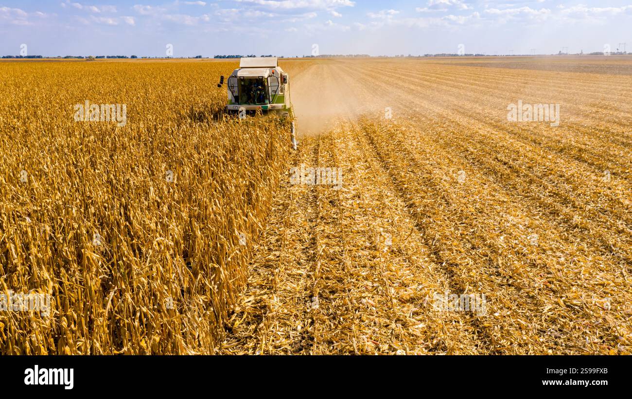 Above view of agricultural harvester as cutting and harvesting mature ...