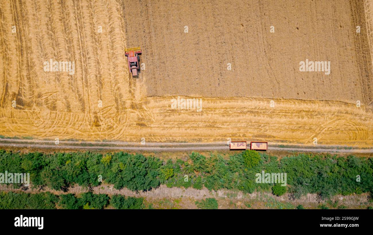 Above view over agricultural harvester, combine as cutting and ...