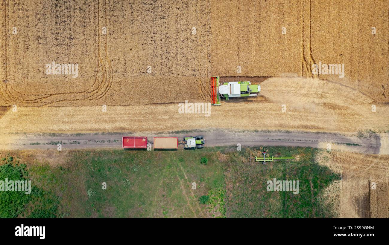 Above top view over agricultural harvester, combine as he cutting and ...