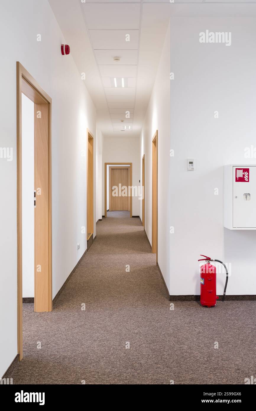 Empty Modern Hallway with Wooden Doors Stock Photo - Alamy
