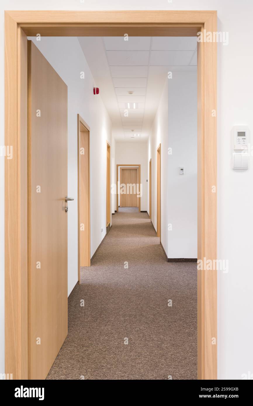 Empty Modern Hallway with Wooden Doors Stock Photo - Alamy